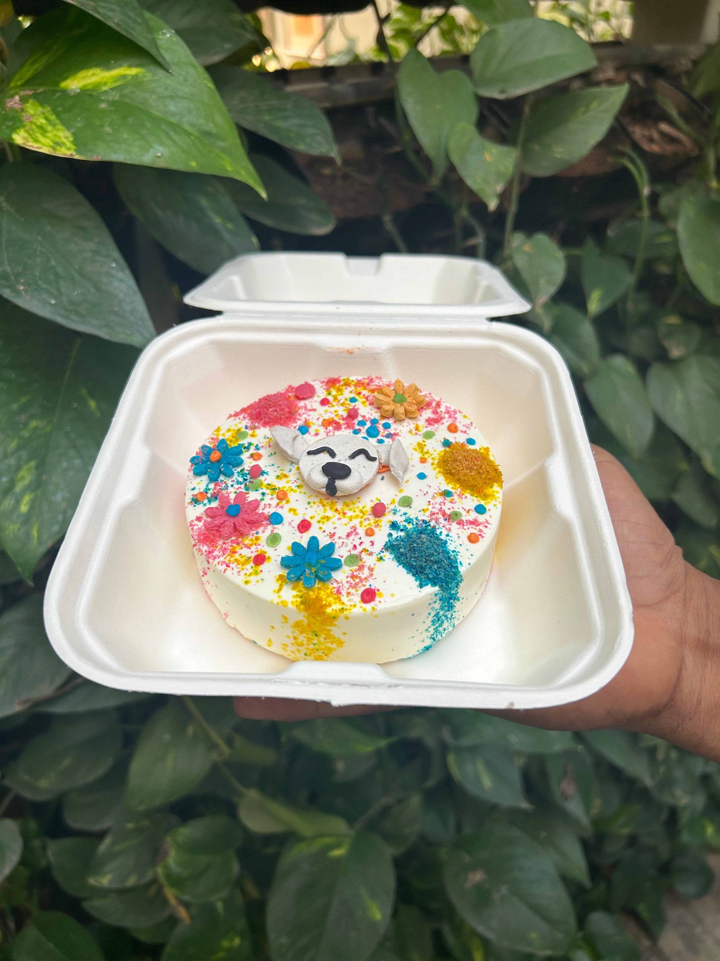 Bowto: Mini Cakes For your Dog - The Best Dog Bakery - Mumbai ...