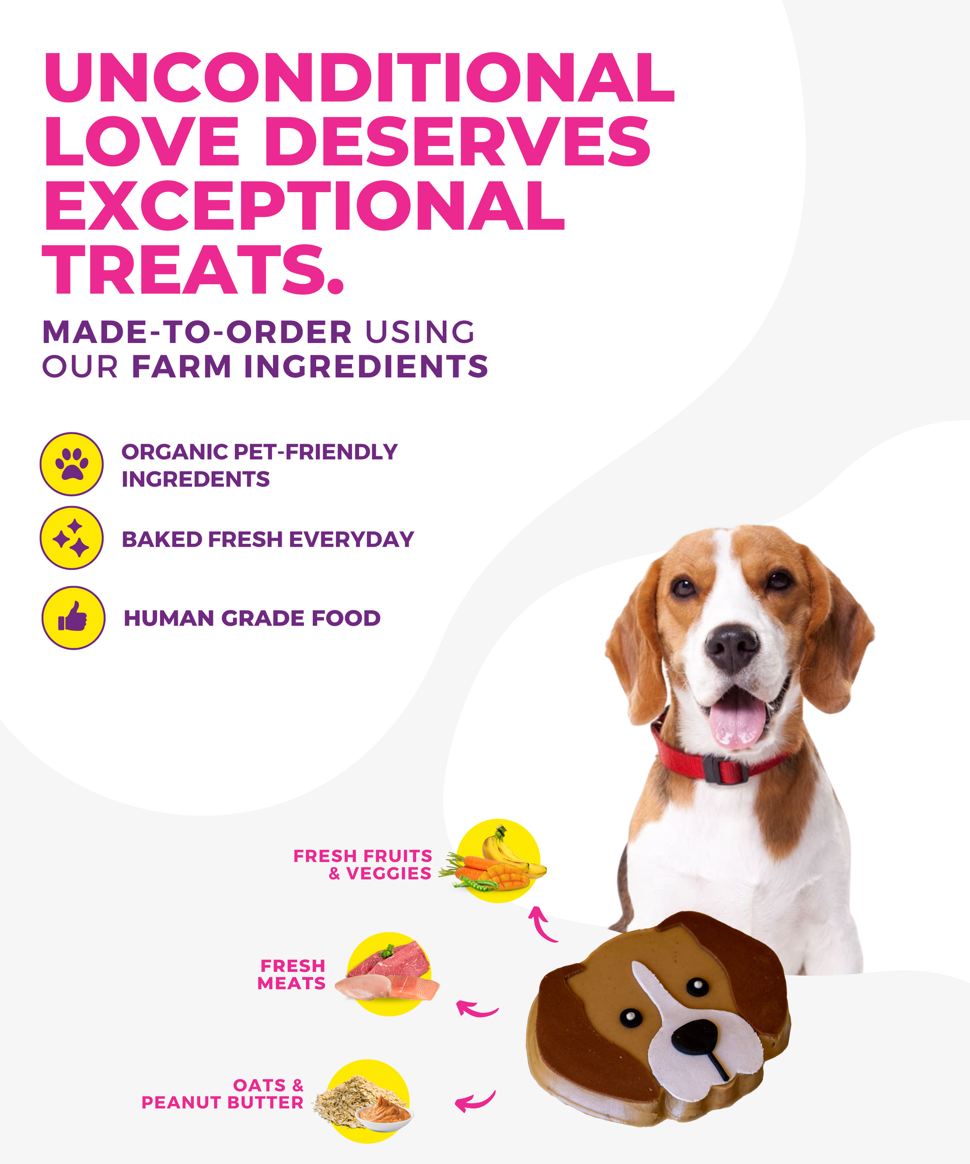 The Doggy Bakery: Your One-Stop Shop For The Best Dog Cakes & Treats