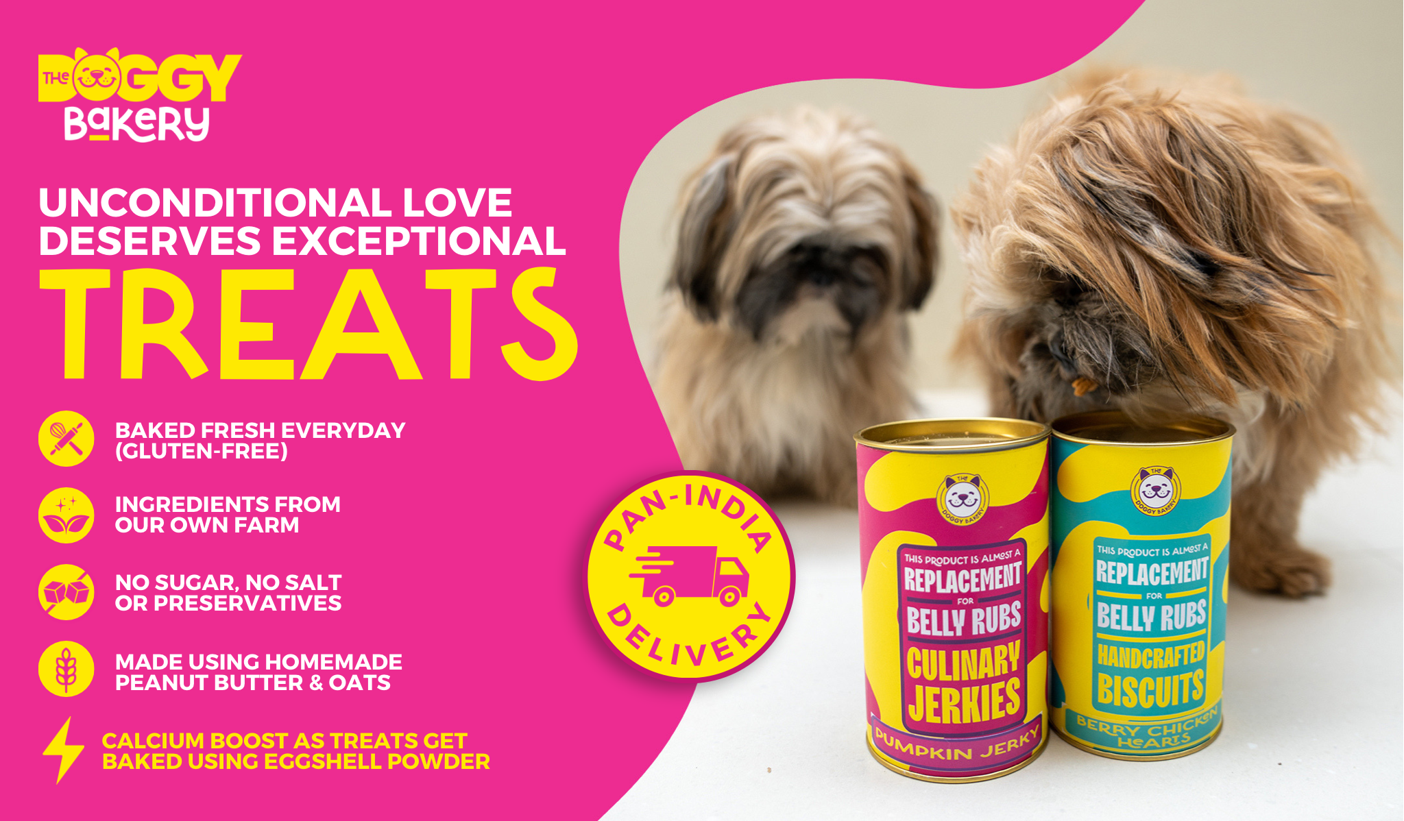 Dog Cakes | Healthy & Delicious Treats for Your Furry Friend – The ...