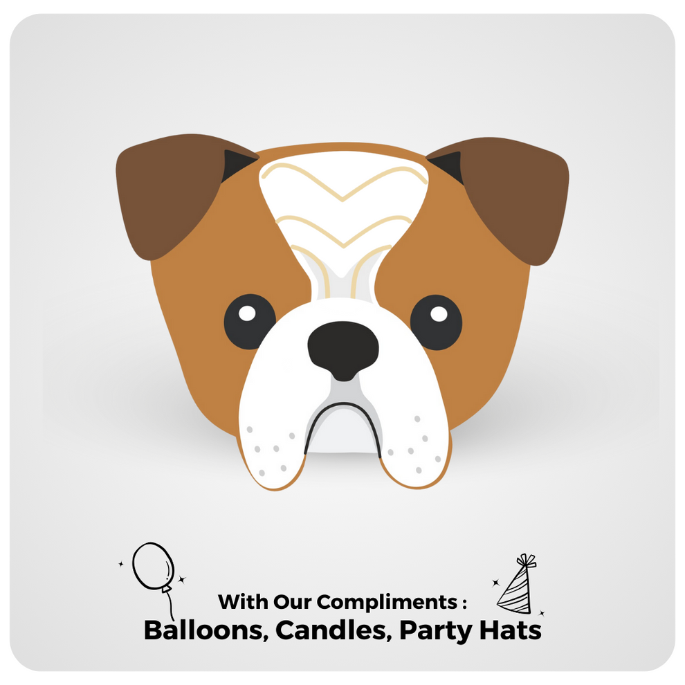 Boxer – The Doggy Bakery